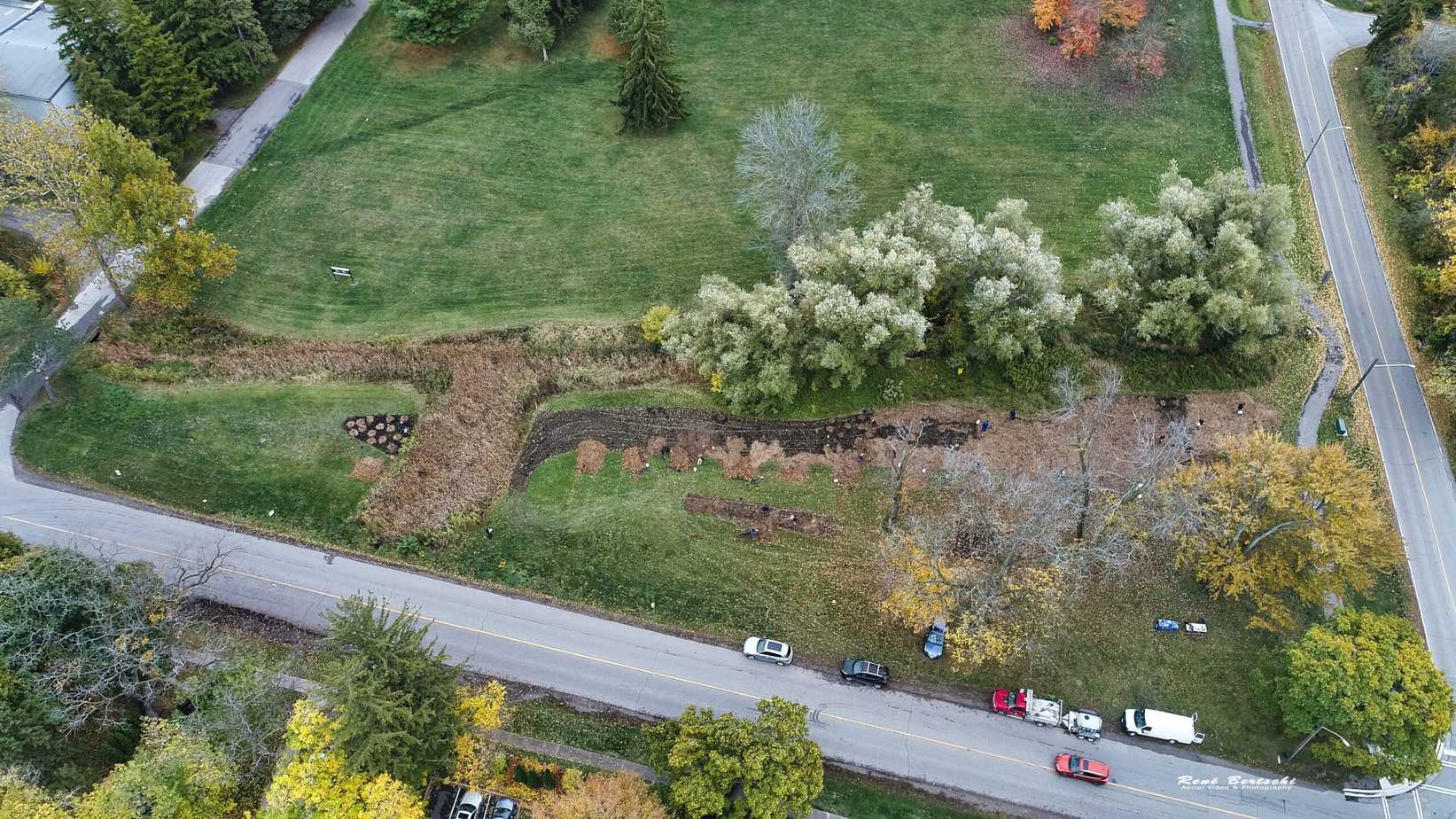 Native trees and shrubs help revitalize the One Mile Creek watershed ...